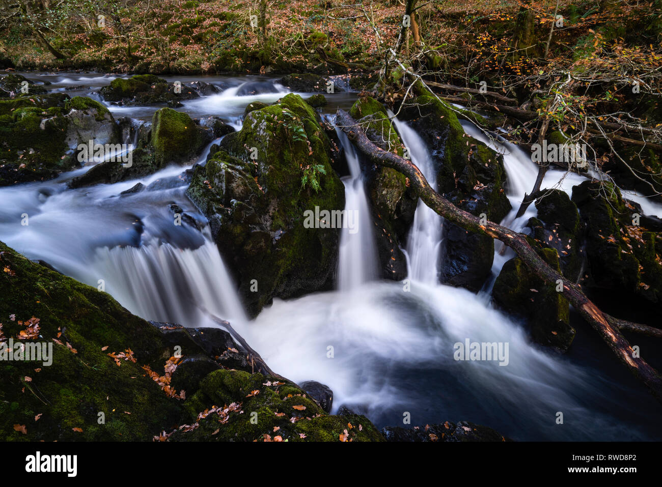 Colwith Force waterfall upper section, Little Langdale, Lake District ...