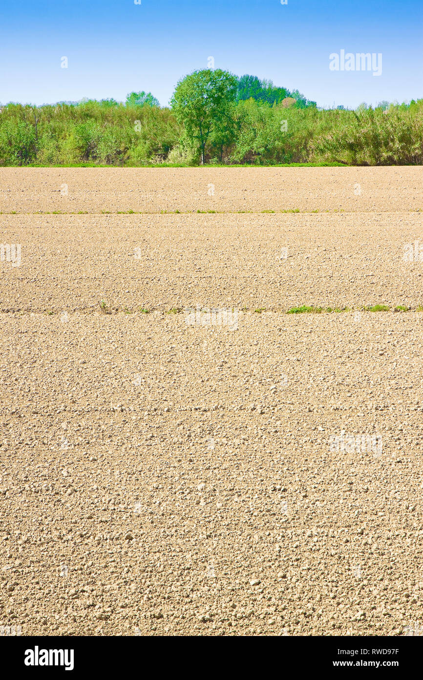 Plough agriculture field before sowing - Plowed field background with ...