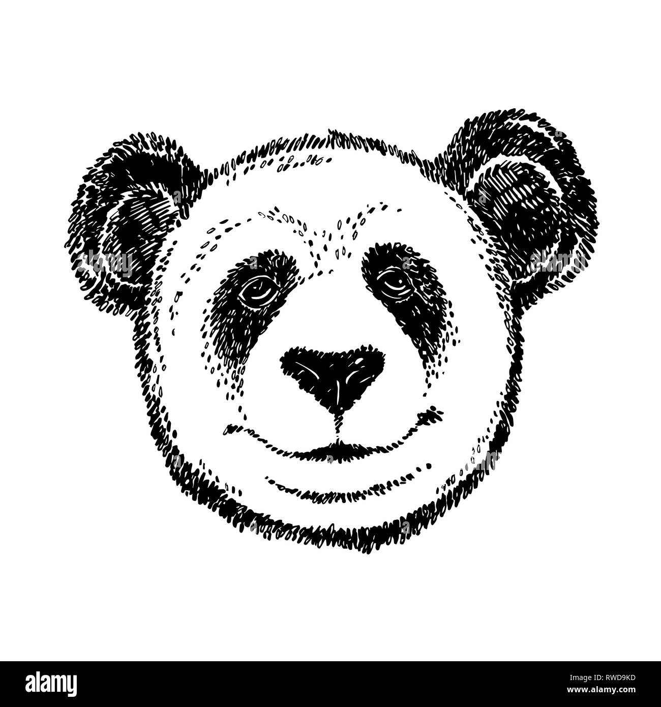 Hand drawn panda. Graphic illustration isolated on white. Panda Logo ...