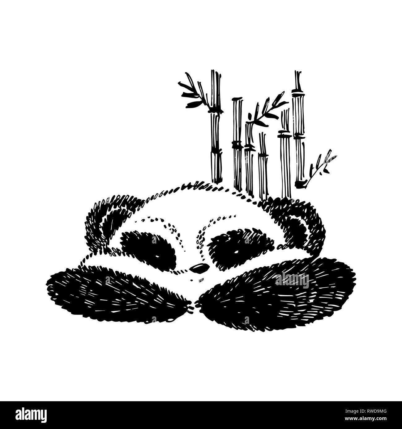Cute panda in graphic style with bamboo. Ink hand drawn illustration ...