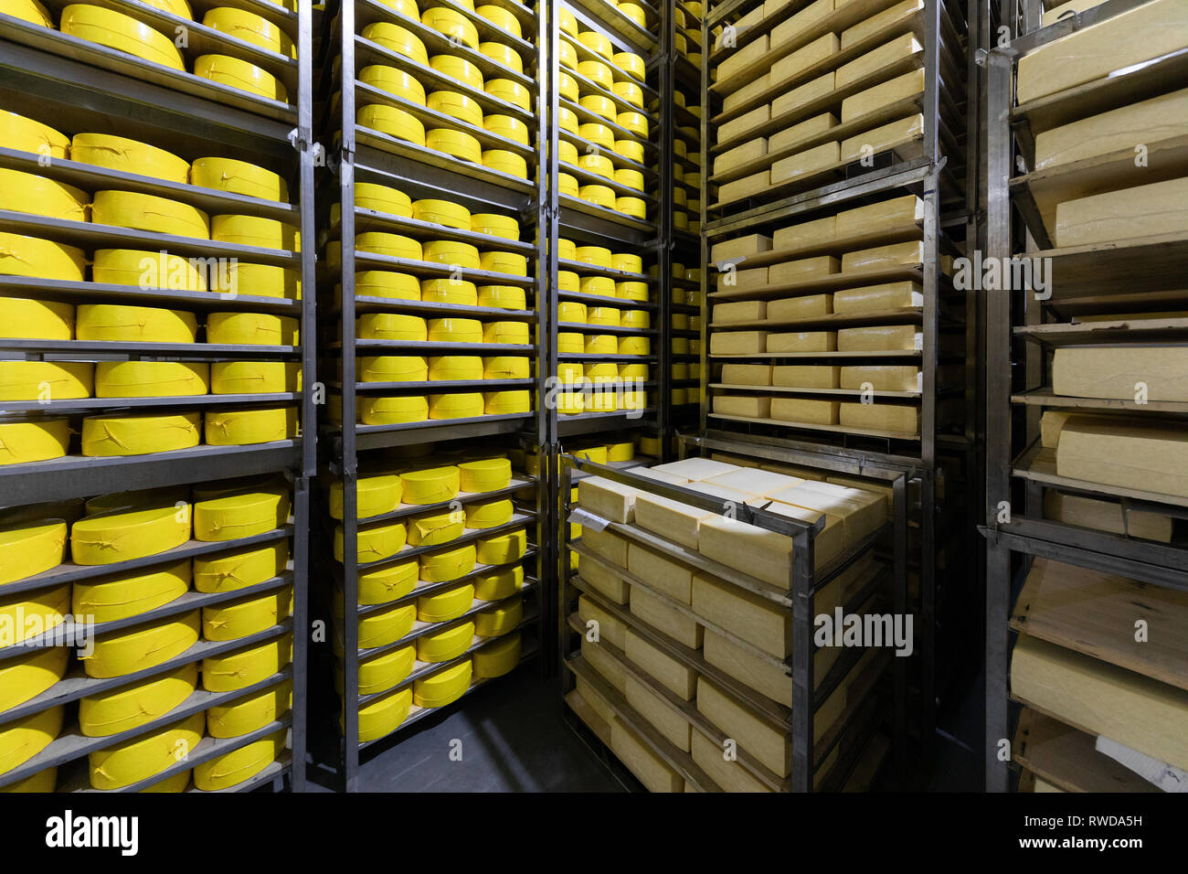 Cheese warehouse. Cheese rack angle Stock Photo - Alamy
