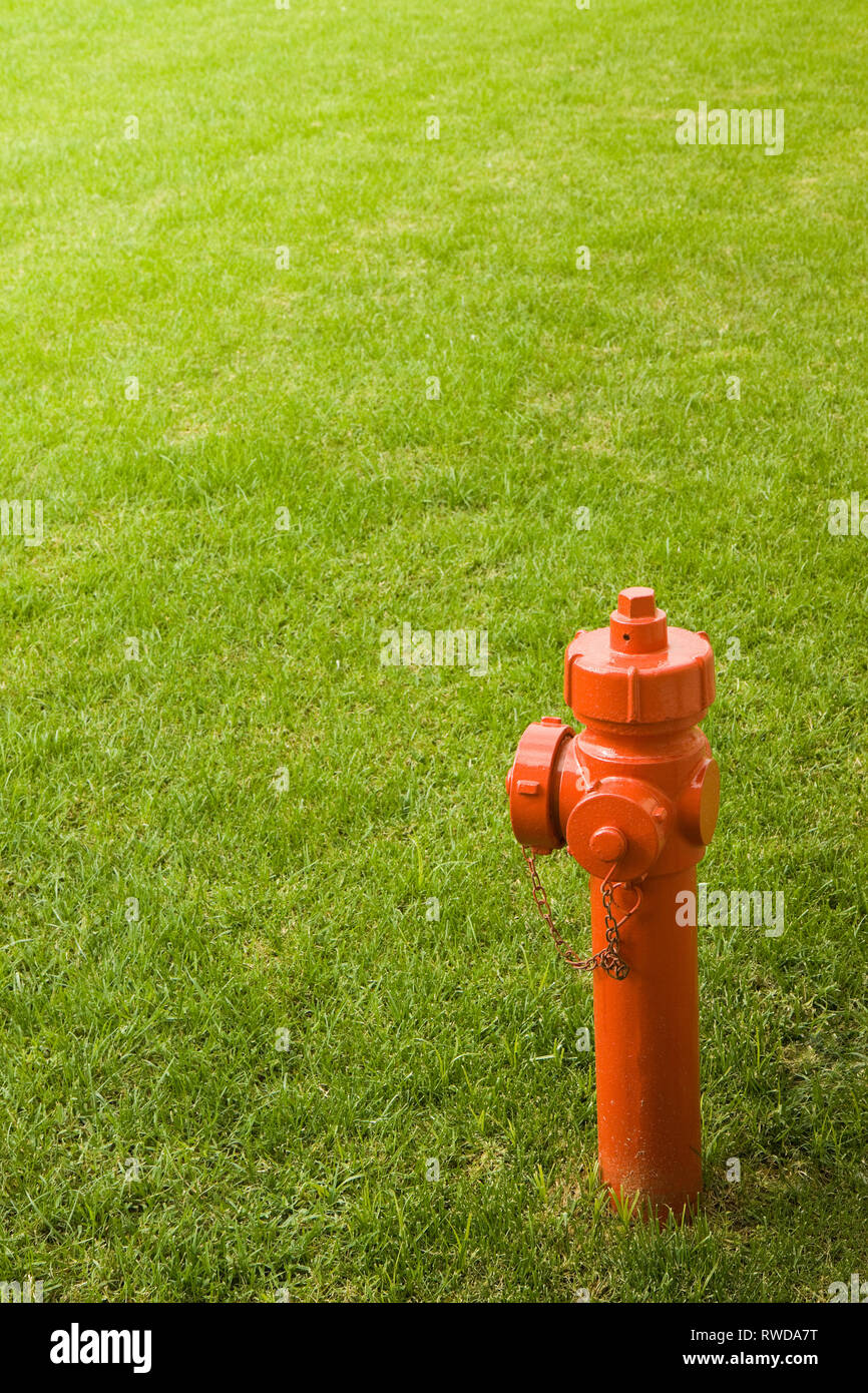 Playing in fire hydrant hi-res stock photography and images - Alamy
