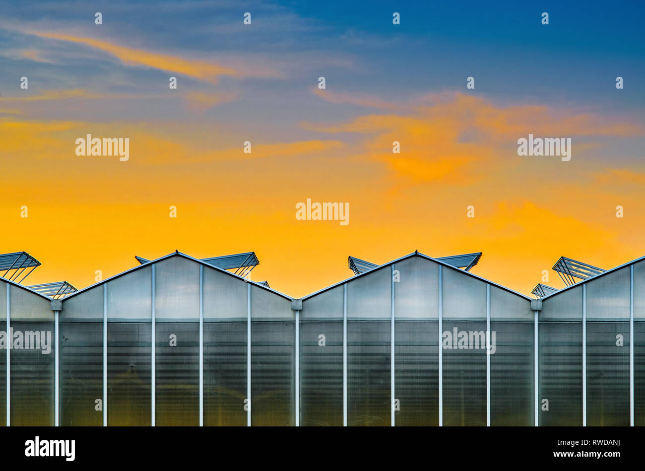 Large Industrial Greenhouse at Sunset. Gorgeous Sunset Red and Orange ...