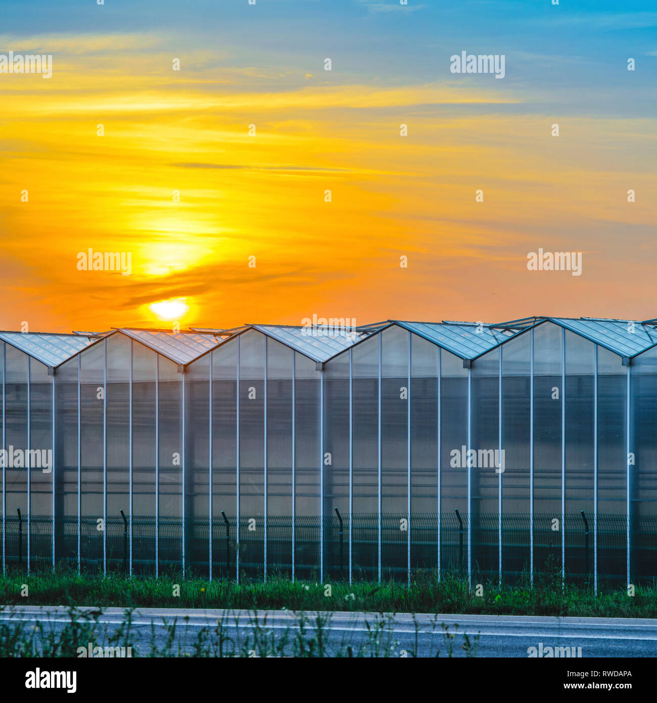 Tempered climate hi-res stock photography and images - Alamy