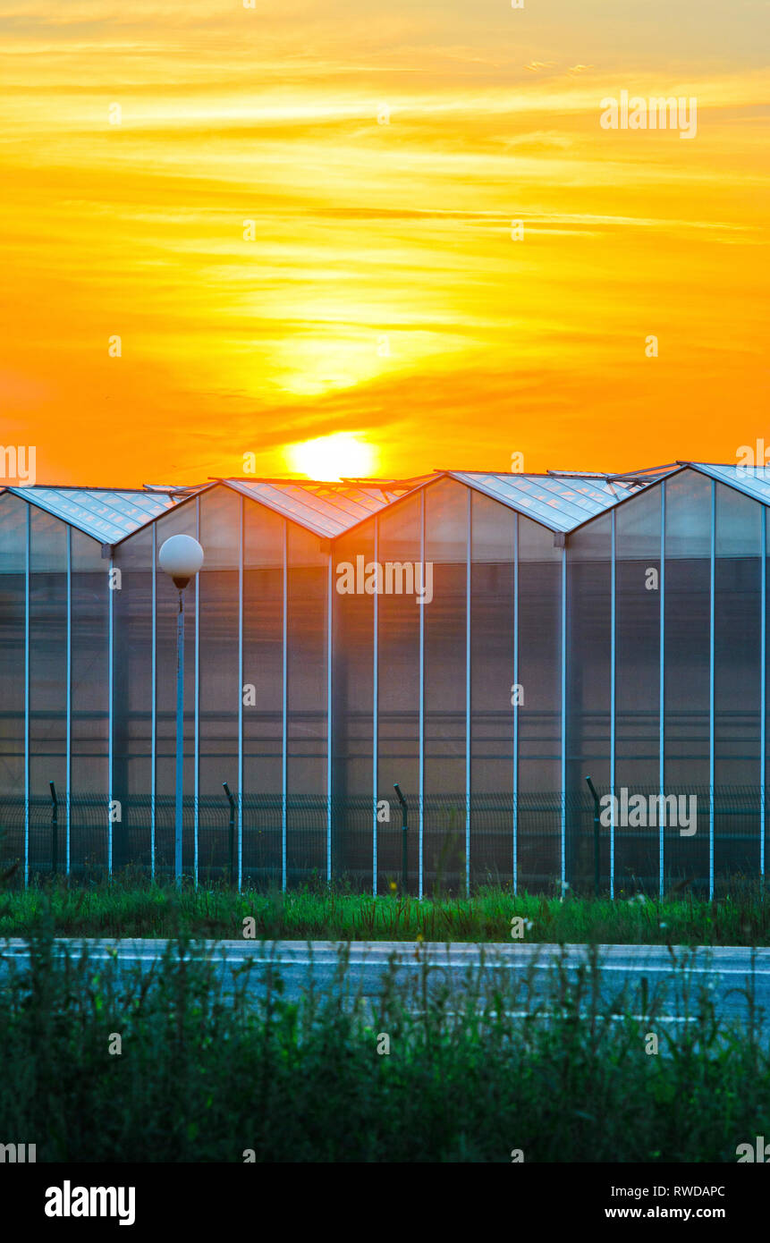 Large Industrial Greenhouse at Sunset. Gorgeous Sunset Red and Orange ...
