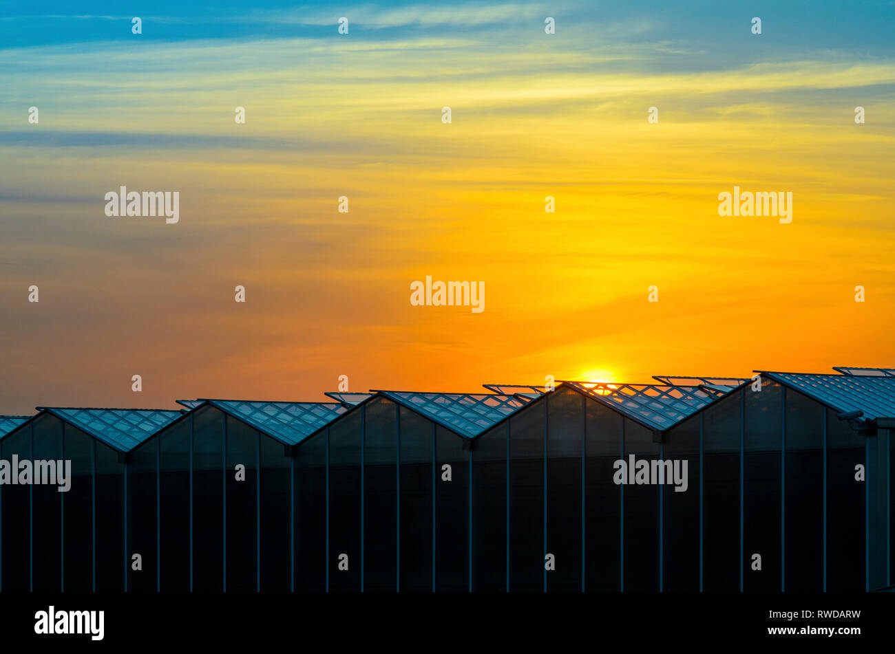 Large Industrial Greenhouse at Sunset. Gorgeous Sunset Red and Orange ...