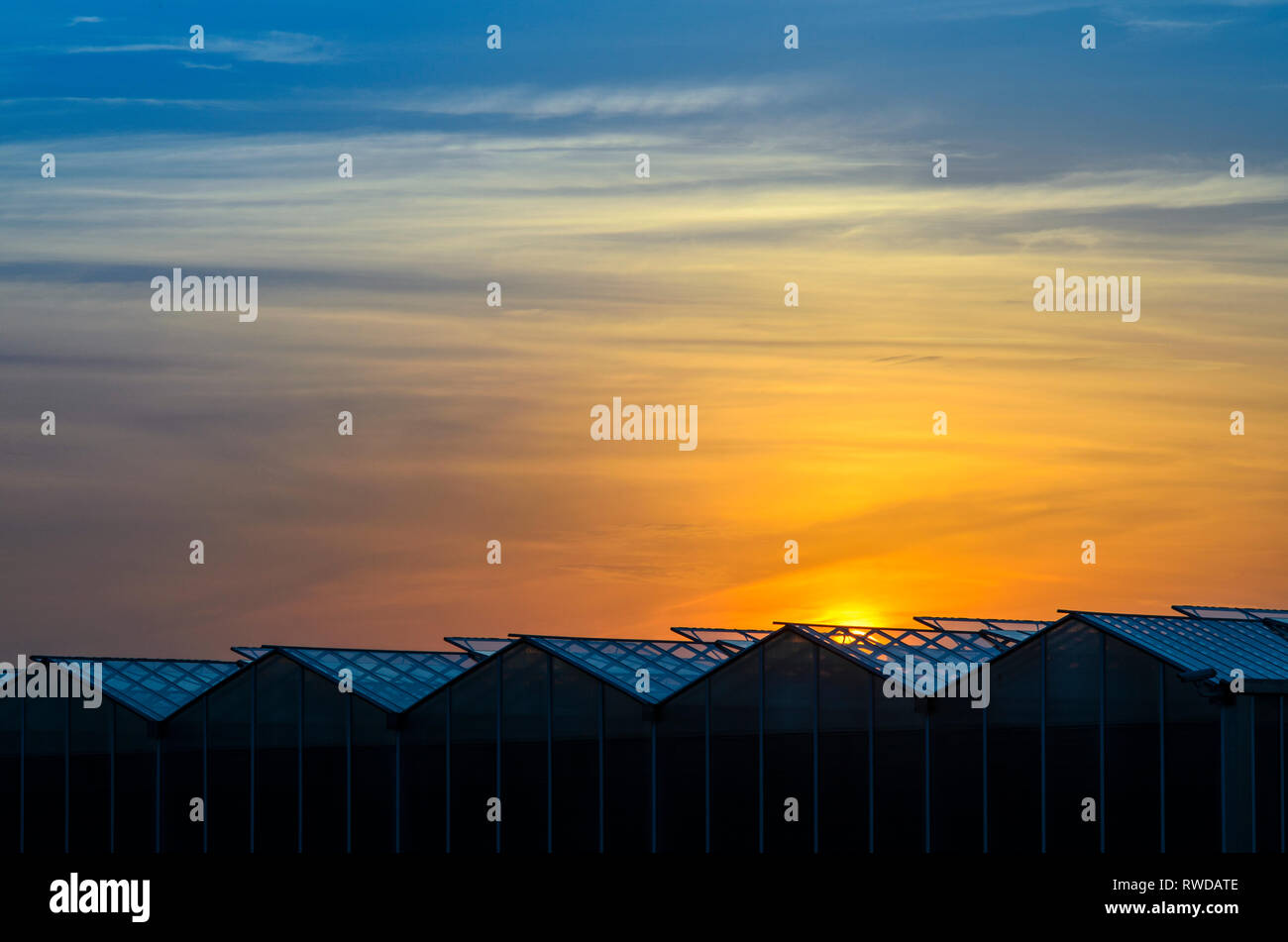Large Industrial Greenhouse at Sunset. Gorgeous Sunset Red and Orange ...