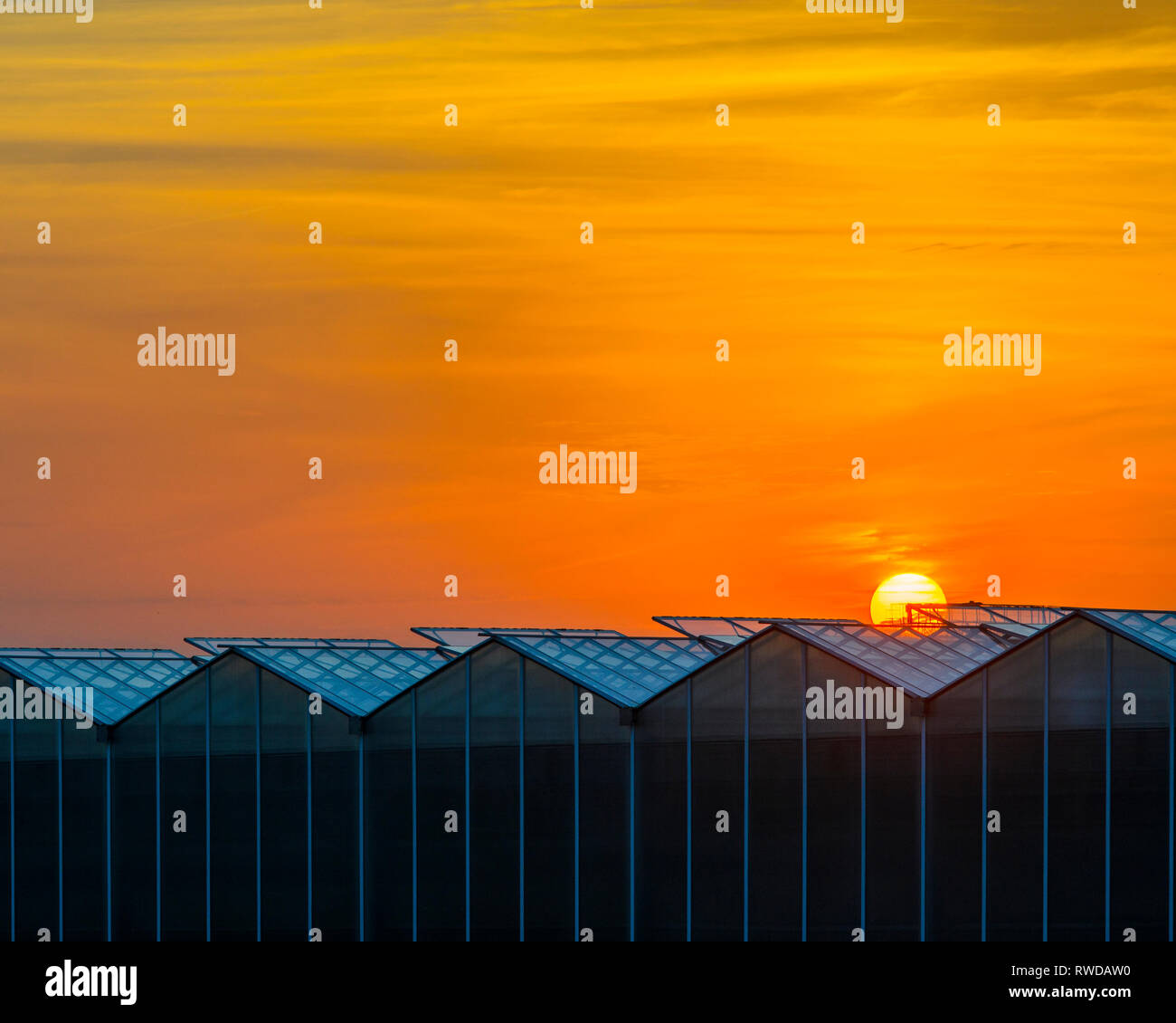 Large Industrial Greenhouse at Sunset. Gorgeous Sunset Red and Orange ...