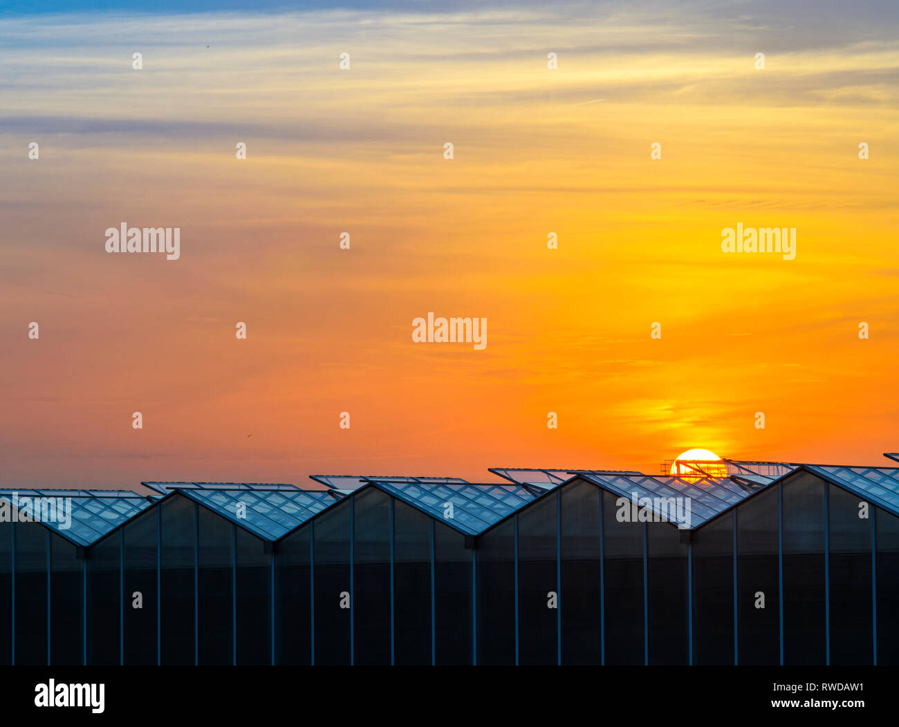 Large Industrial Greenhouse at Sunset. Gorgeous Sunset Red and Orange ...