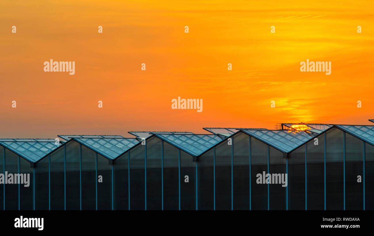 Large Industrial Greenhouse at Sunset. Gorgeous Sunset Red and Orange ...