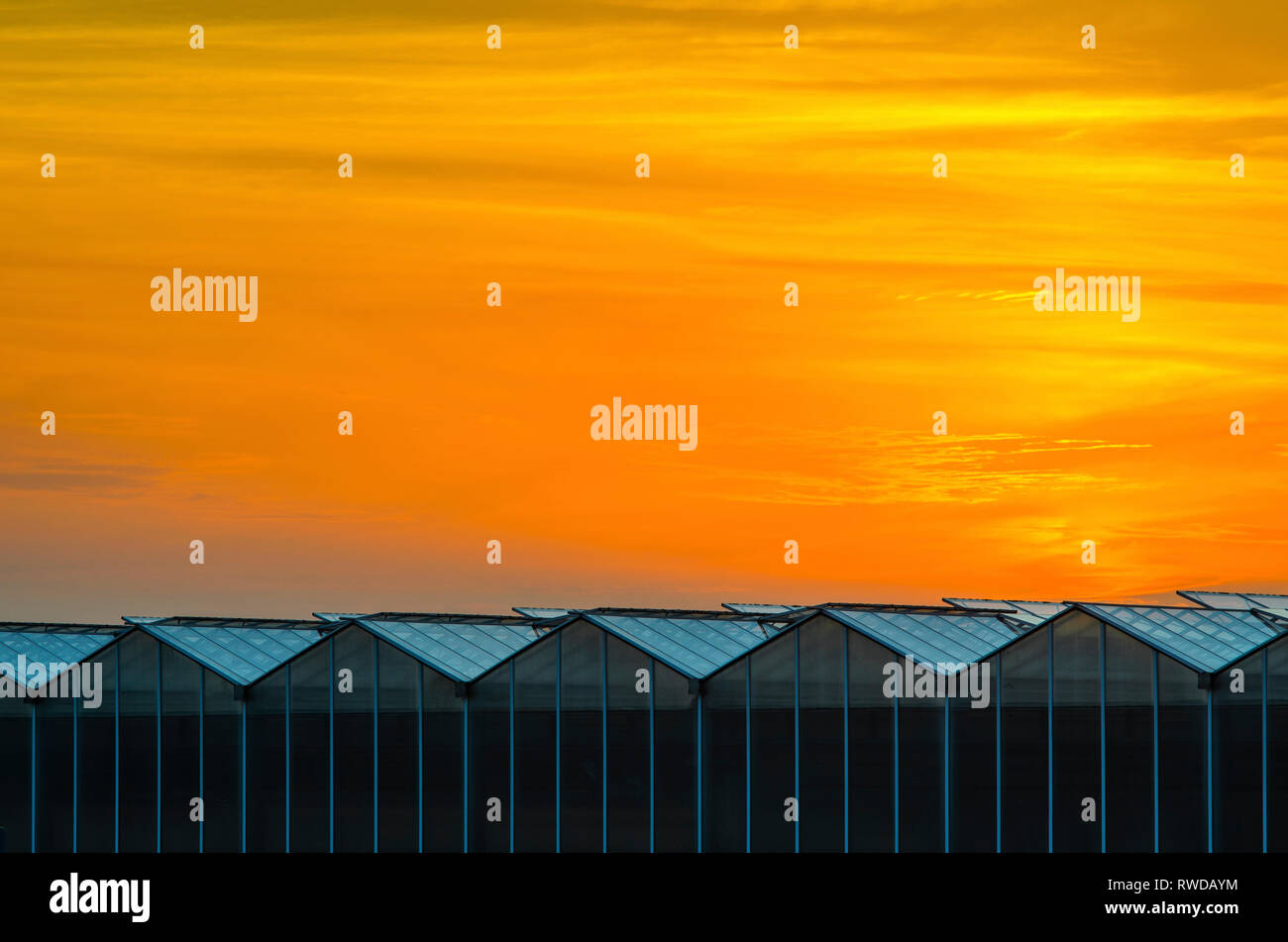 Large Industrial Greenhouse at Sunset. Gorgeous Sunset Red and Orange ...