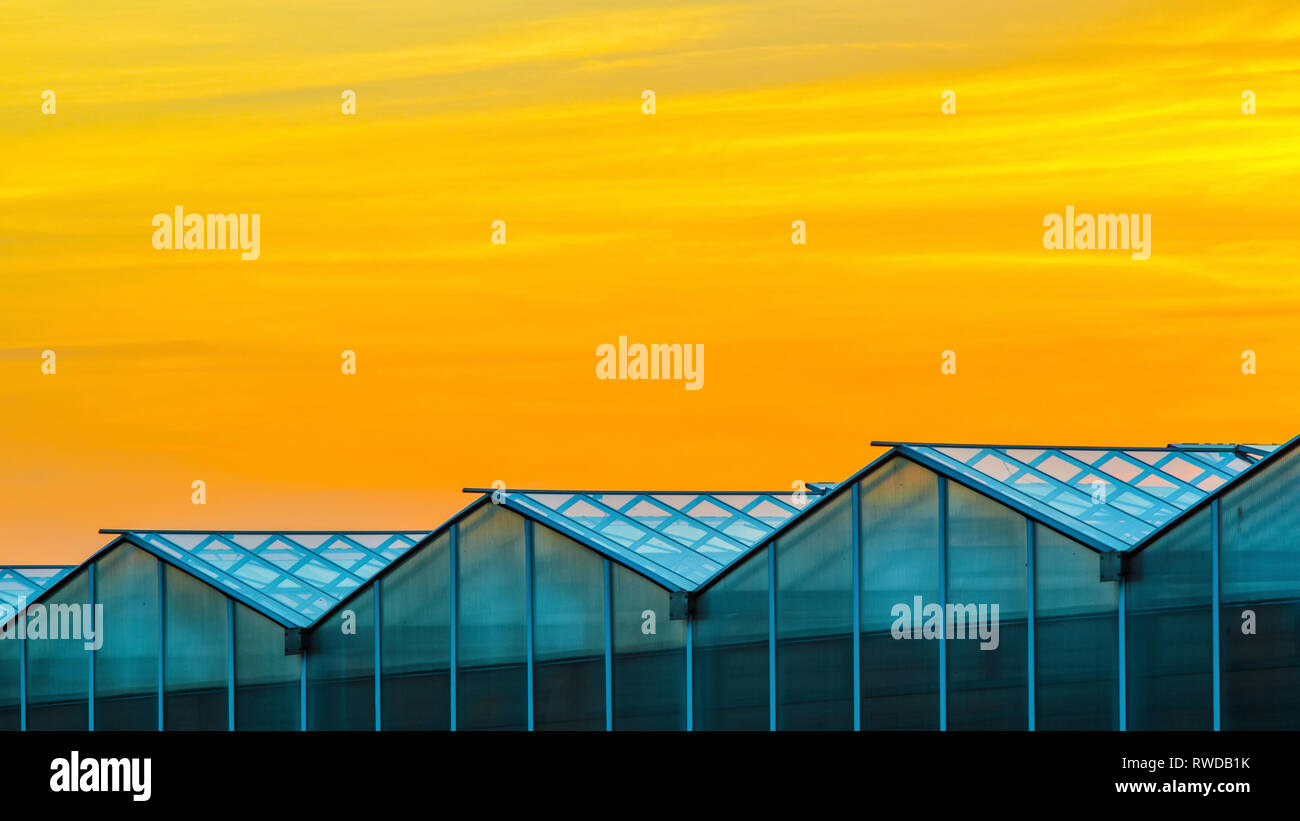 Large Industrial Greenhouse at Sunset. Gorgeous Sunset Red and Orange ...