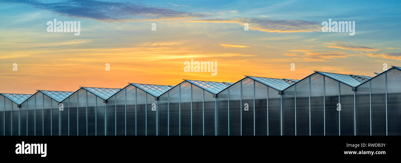 Large Industrial Greenhouse at Sunset. Gorgeous Sunset Red and Orange ...