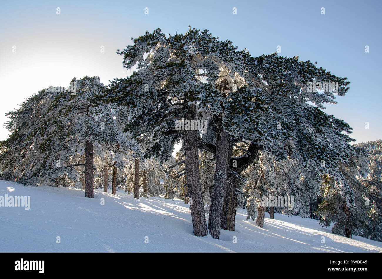 Olympos cyprus hi-res stock photography and images - Alamy