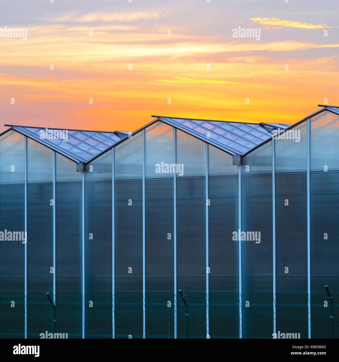 Large Industrial Greenhouse at Sunset. Gorgeous Sunset Red and Orange ...