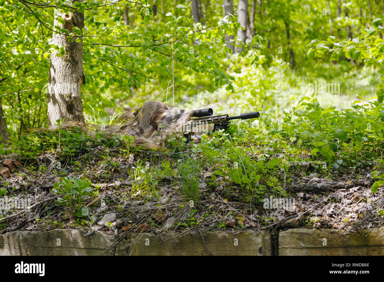 Green Berets U.S. Army Special Forces Group sniper in action Stock ...