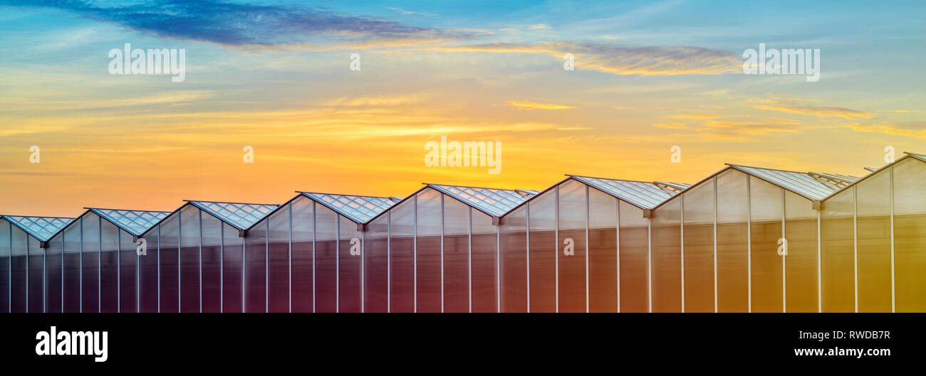Large Industrial Greenhouse at Sunset. Gorgeous Sunset Red and Orange ...