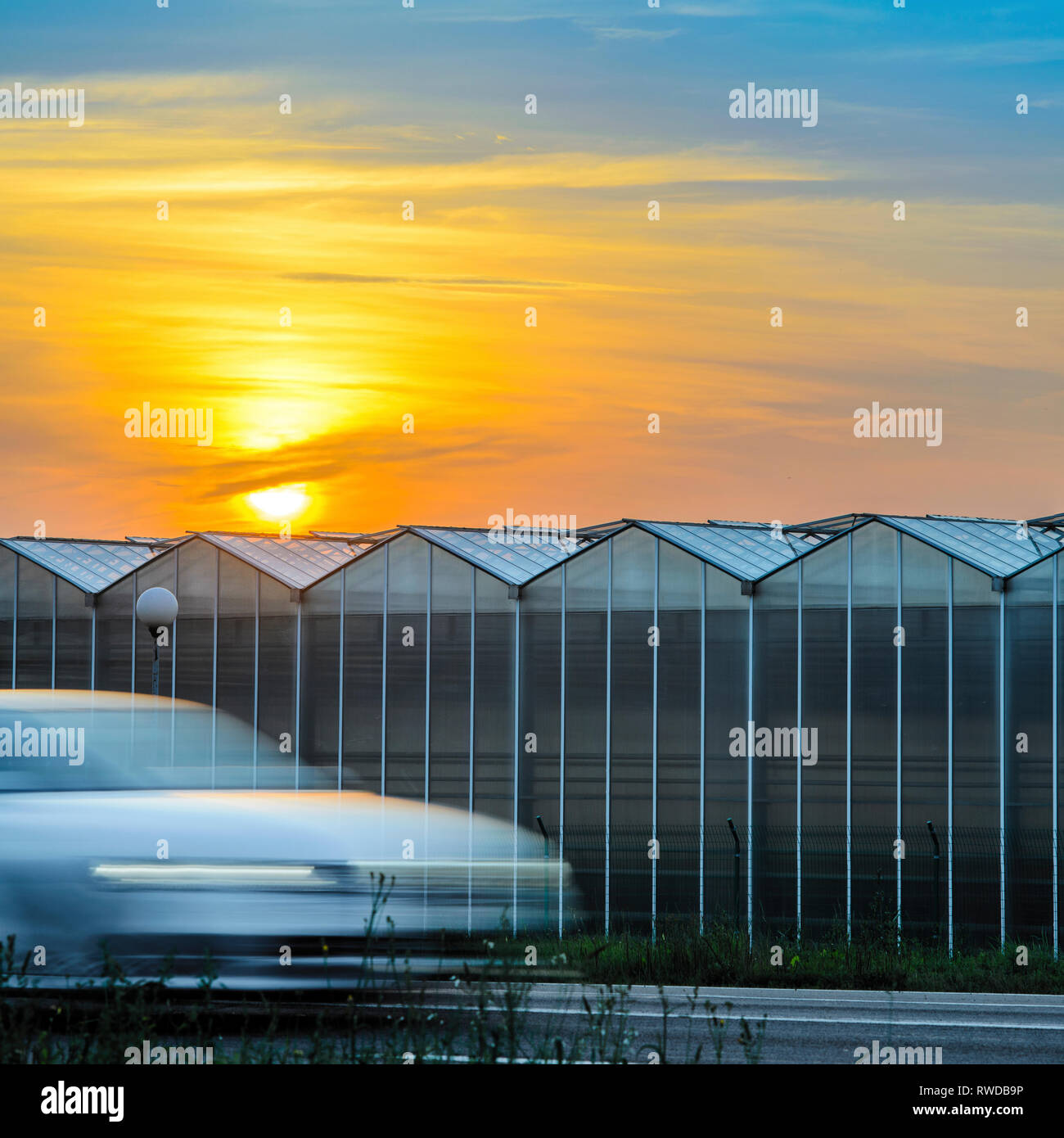 Suburban Highway Near the Greenhouse Plant at Sunset. Driving Cars ...