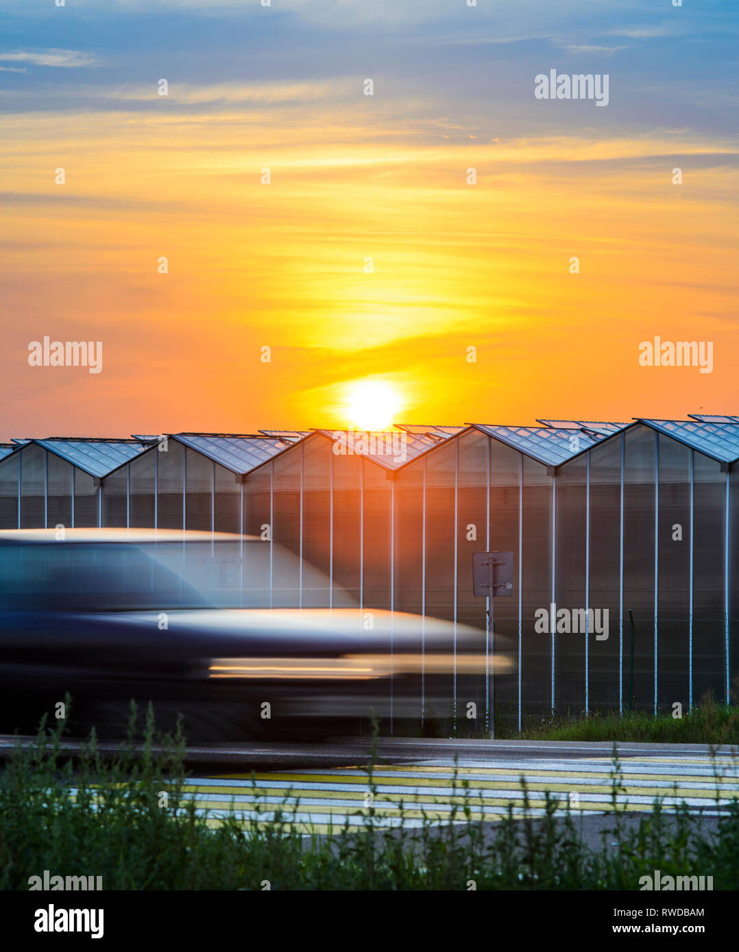 Suburban Highway Near the Greenhouse Plant at Sunset. Driving Cars ...