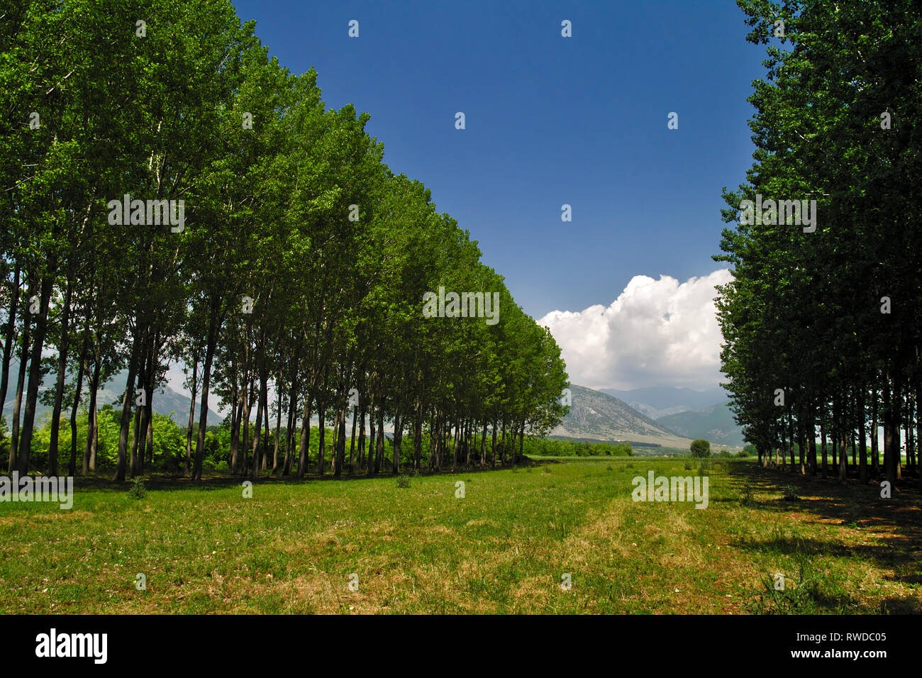 Tall space hi-res stock photography and images - Alamy