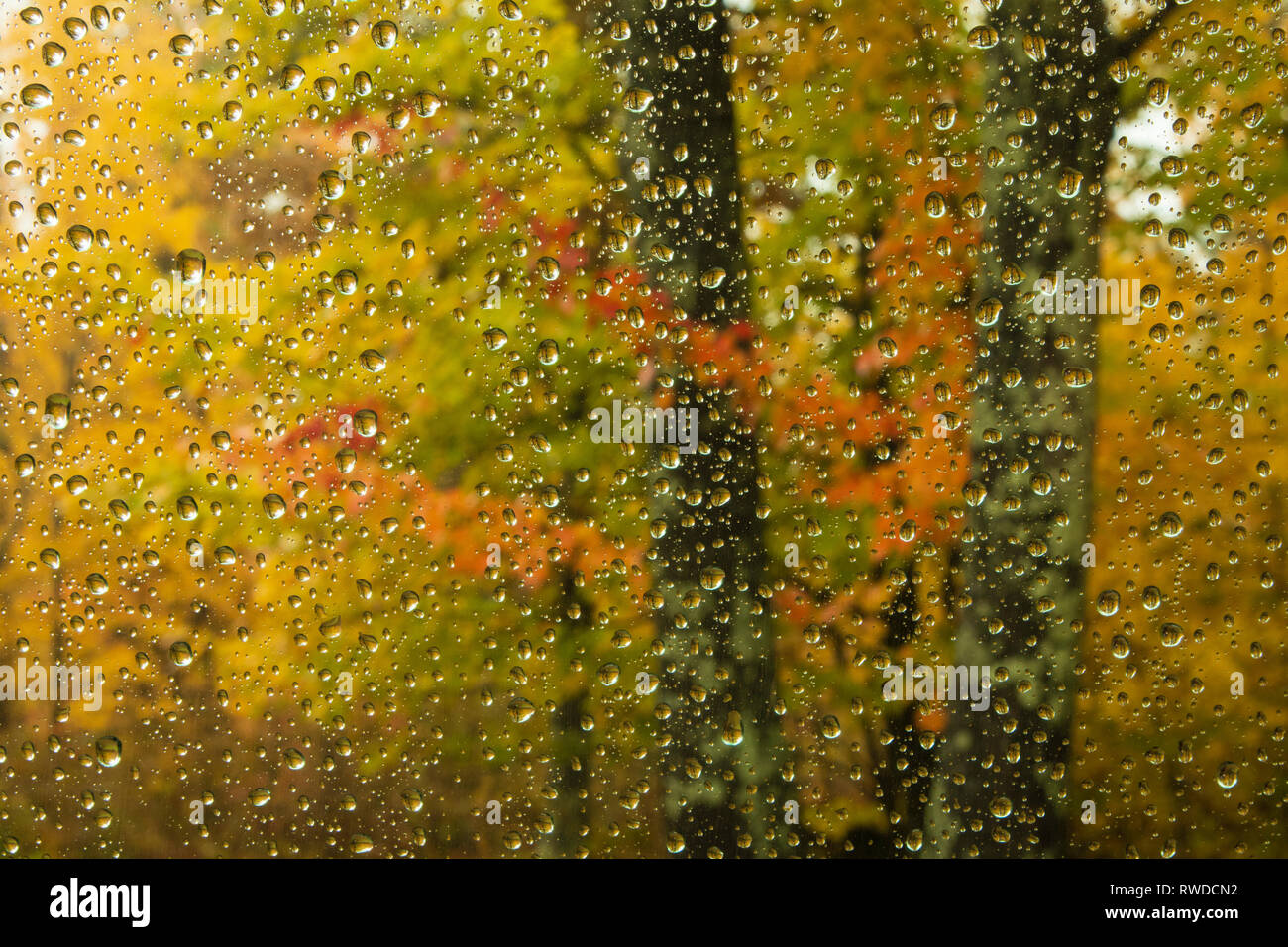 Fall Foliage as Viewed Through a Raindropped Window. Brazeau, WI ...