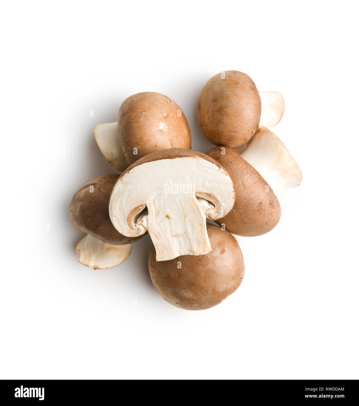 Fresh champignon mushrooms isolated on white background Stock Photo - Alamy