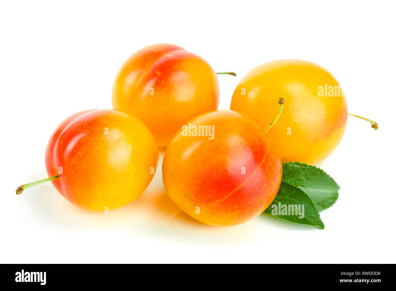 four yellow plum isolated on white background Stock Photo - Alamy