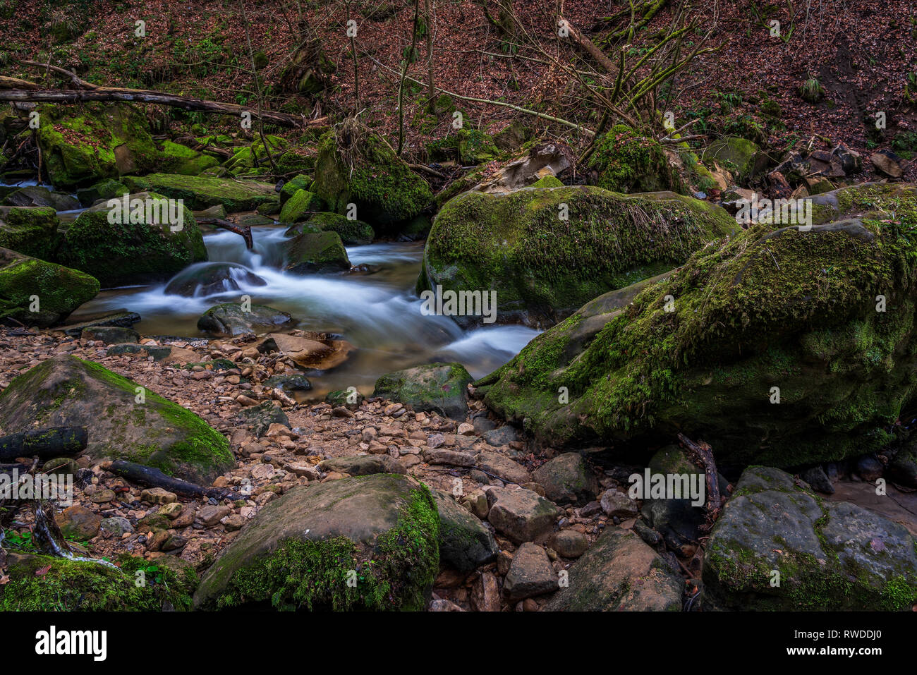 The Schiessentümpel is a small and picturesque waterfall on the Black ...