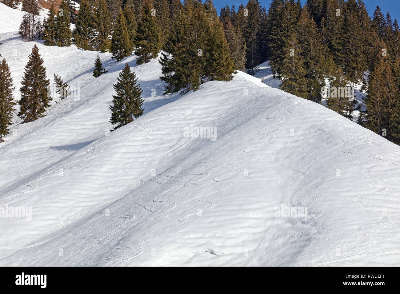 Ski tracks from ski touring in Garnitza valley - Bregenzer Forest ...