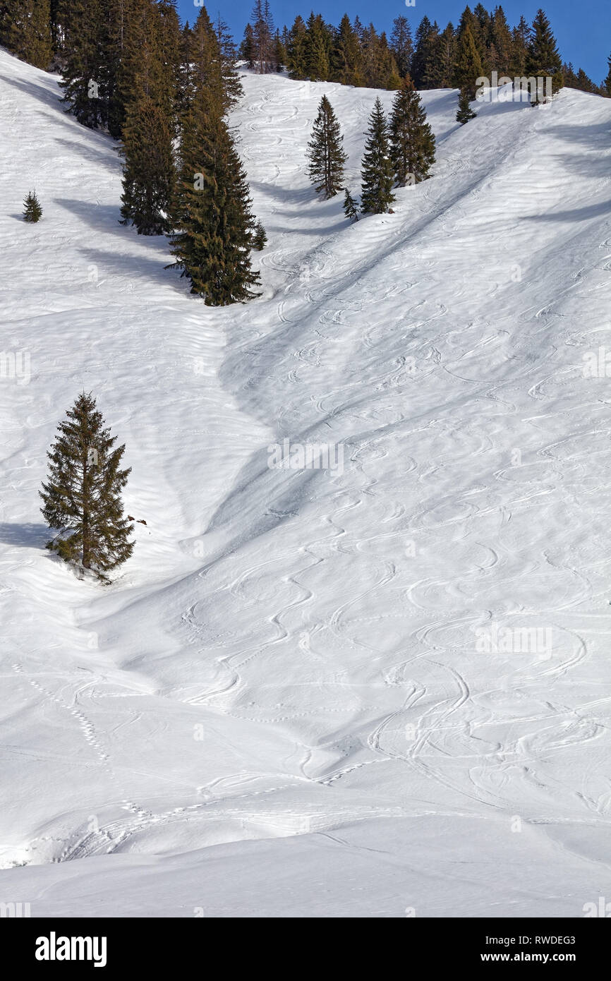 Ski tracks from ski touring in Garnitza valley - Bregenzer Forest ...