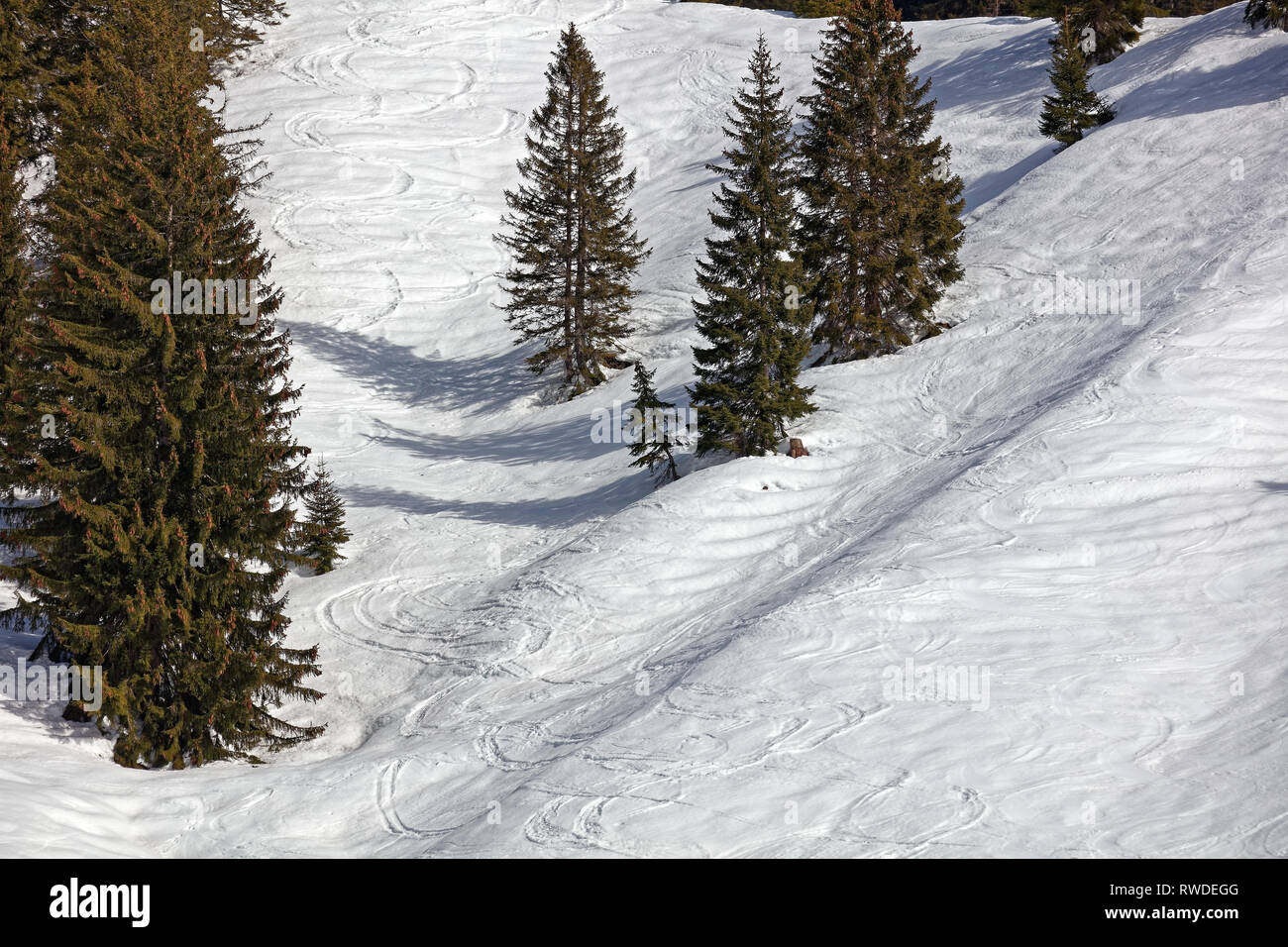 Ski tracks from ski touring in Garnitza valley - Bregenzer Forest ...