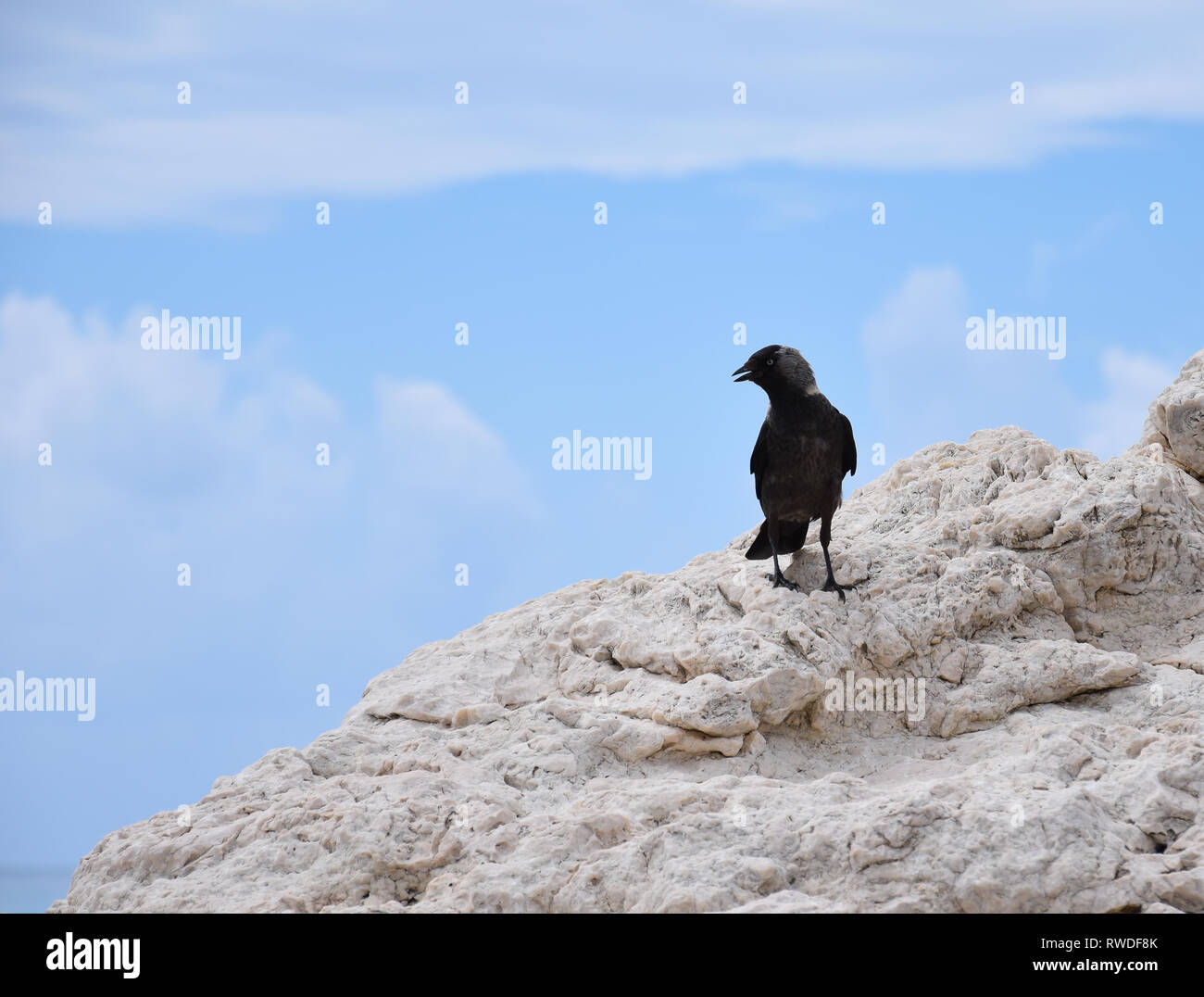 Sun bleached stone hi-res stock photography and images - Alamy
