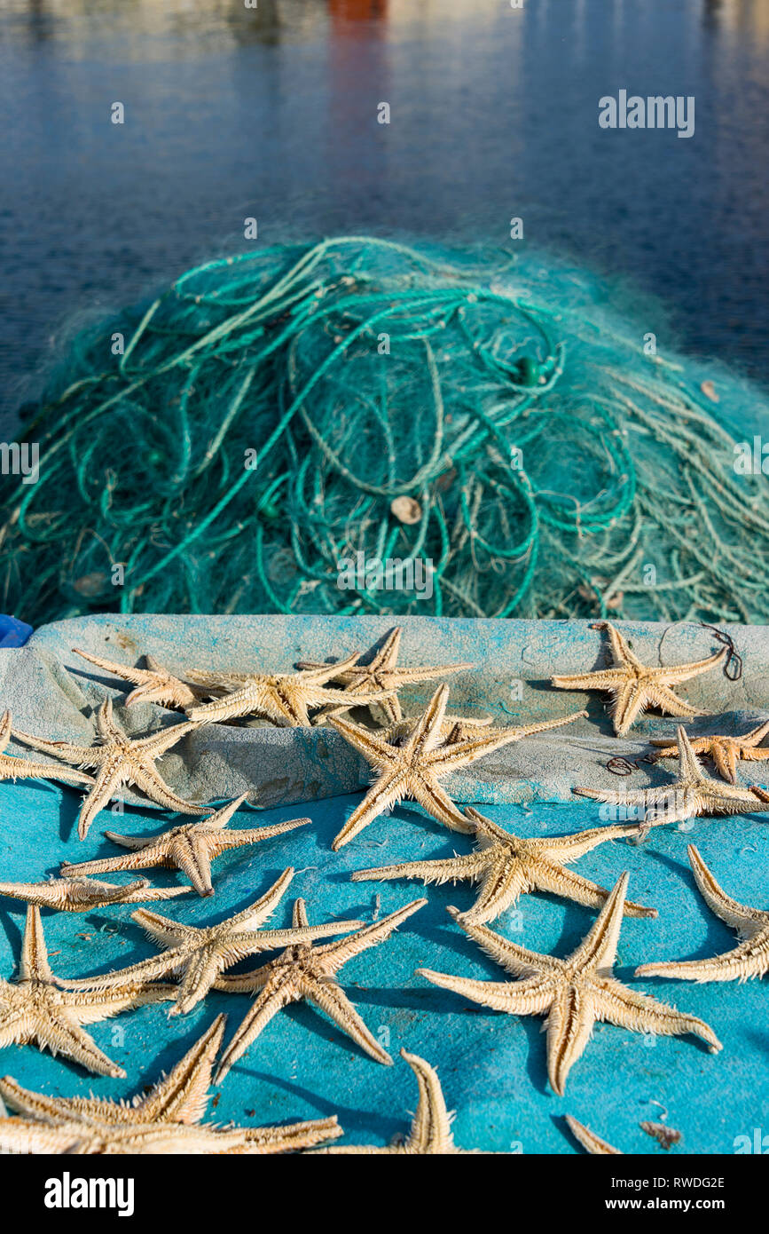 starfish drying and fishing nets on a pier in Setubal, Portugal Stock ...