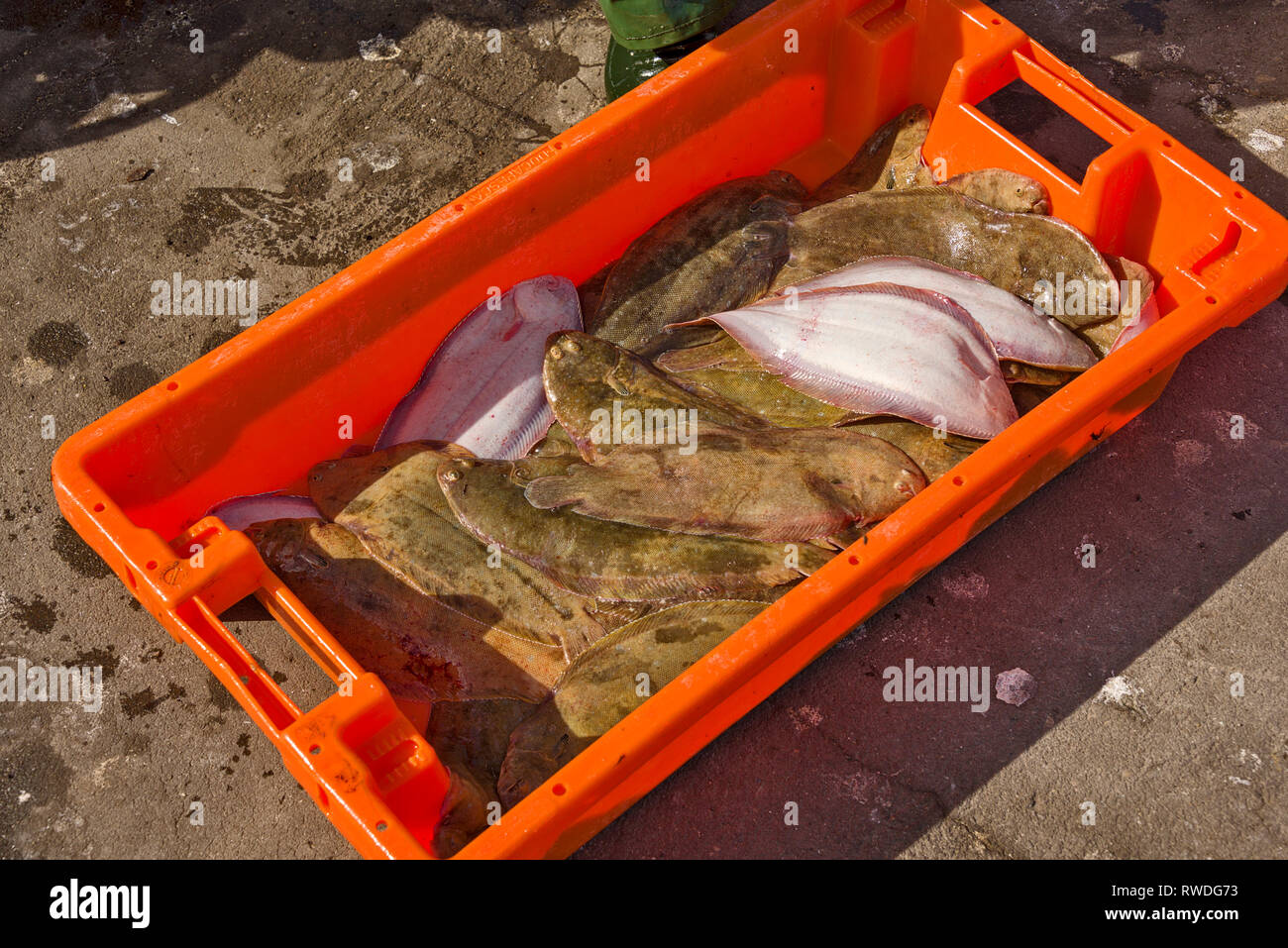 Fish box hi-res stock photography and images - Alamy