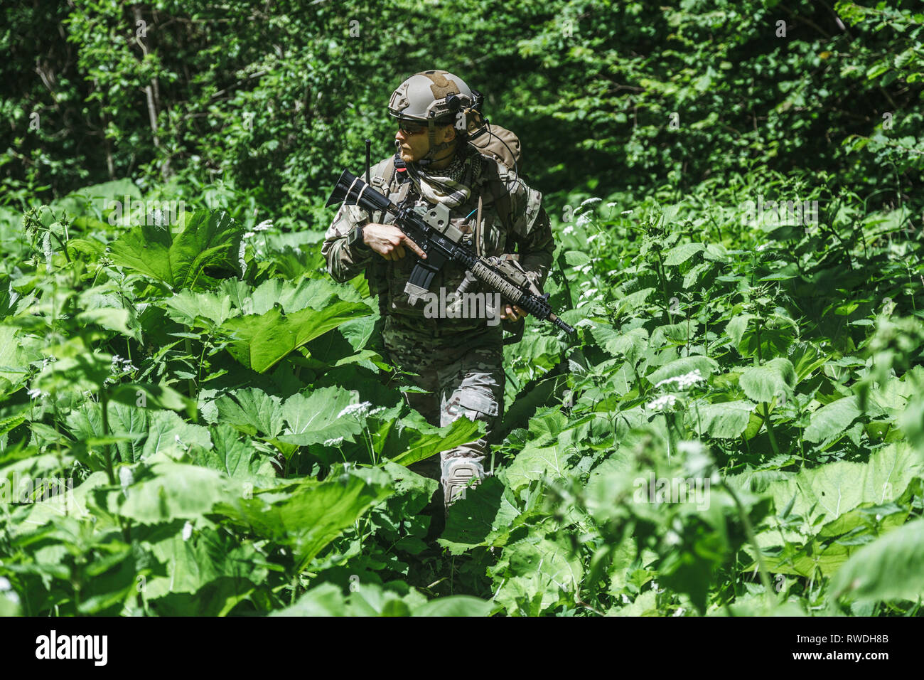 United States Army ranger in the forest Stock Photo - Alamy