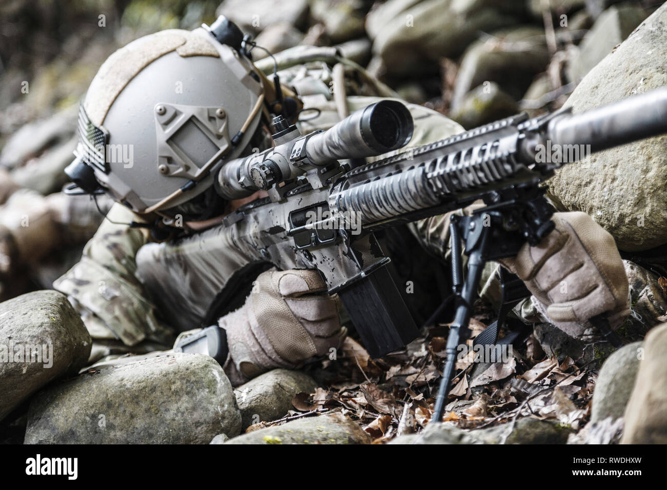 United States Army ranger sniper in the forest Stock Photo - Alamy