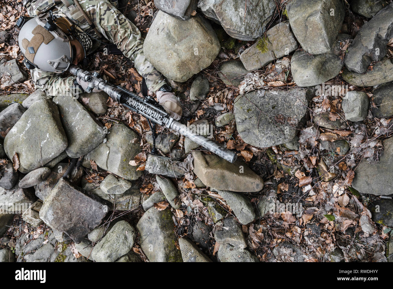 United States Army ranger sniper in the forest Stock Photo - Alamy
