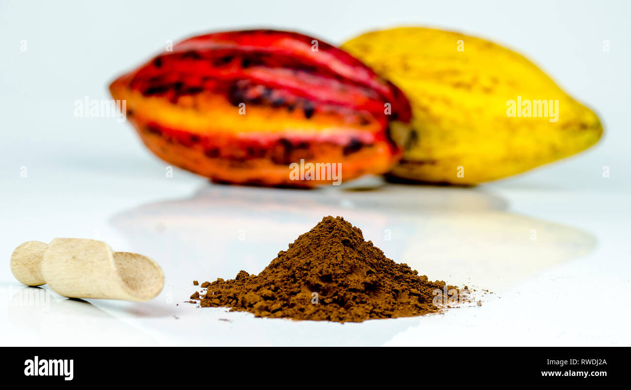 Composition with cocoa powder and cocoa pods on white background Stock ...
