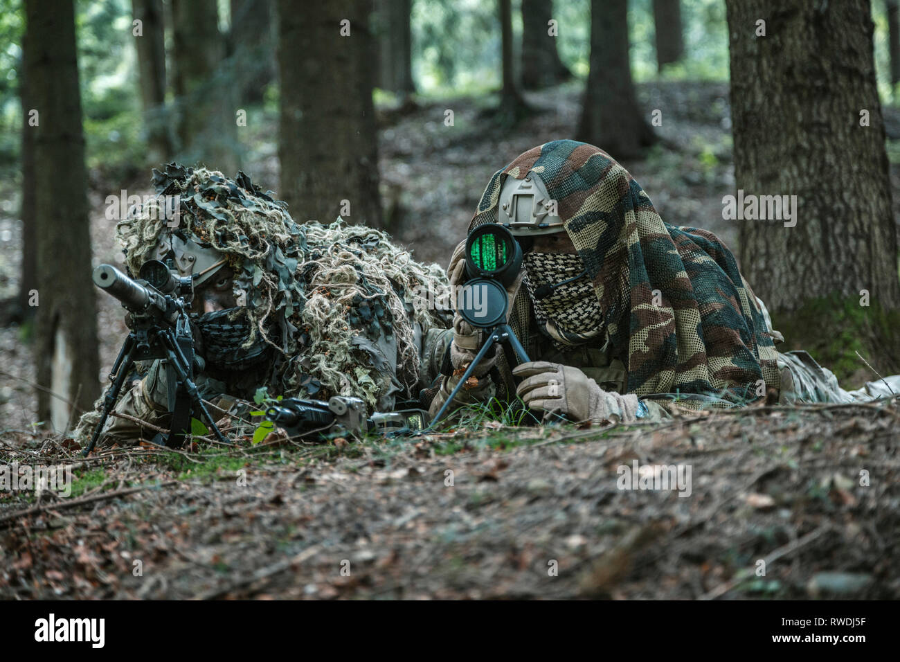United States Army rangers sniper pair in the forest Stock Photo - Alamy