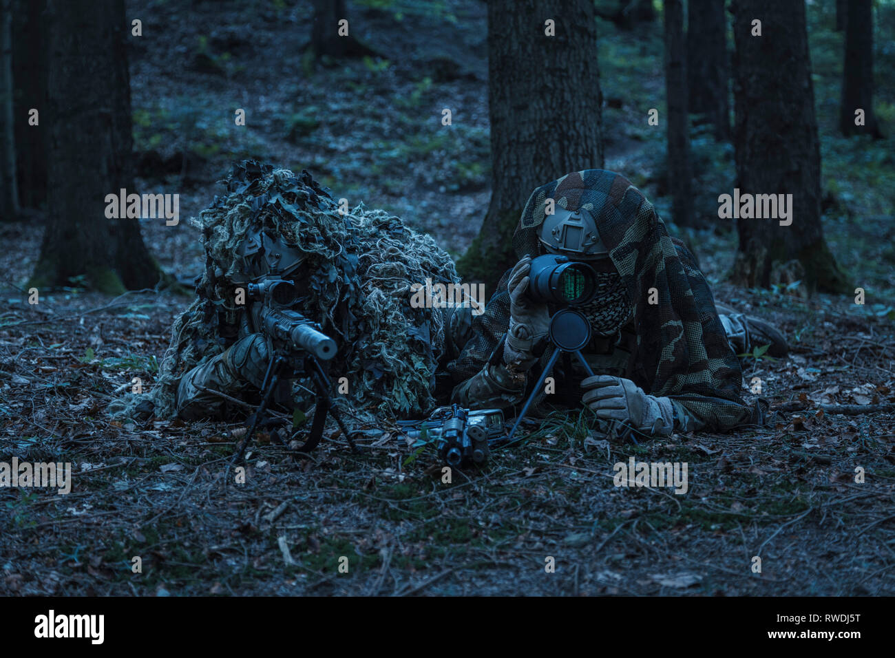 United States Army rangers sniper pair in the forest Stock Photo - Alamy