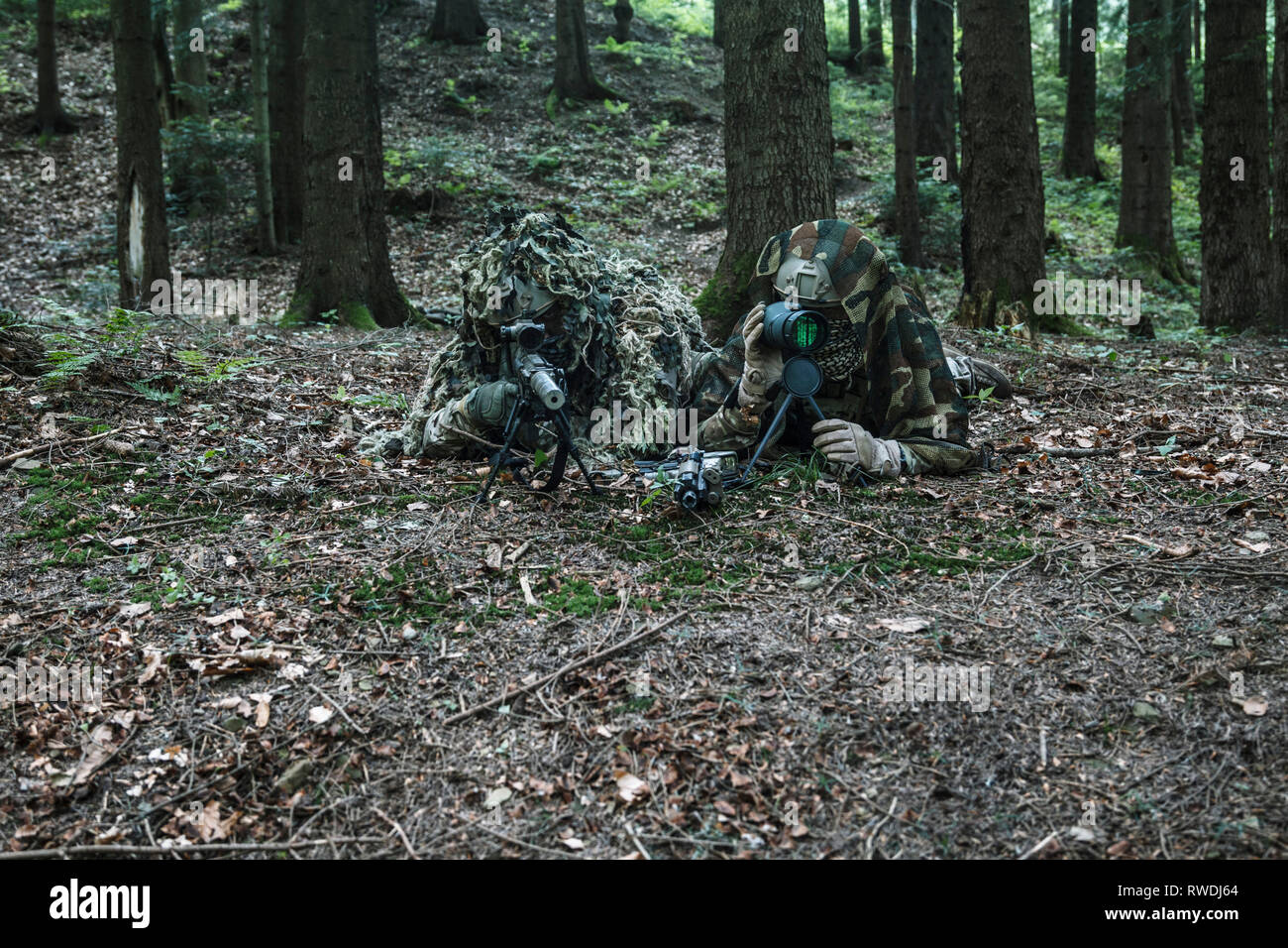 United States Army rangers sniper pair in the forest Stock Photo - Alamy