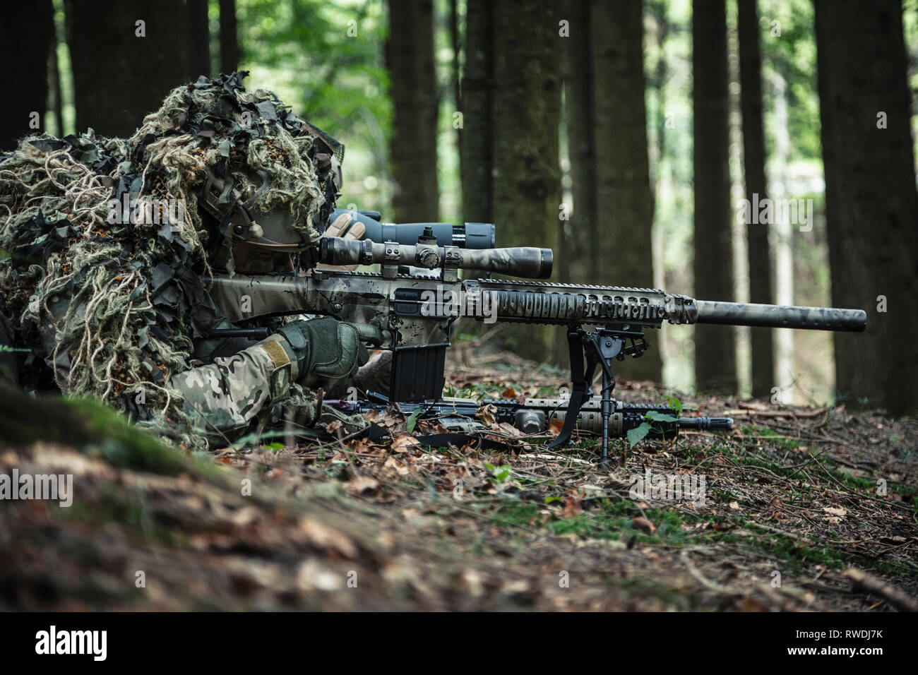 United States Army rangers sniper pair in the forest Stock Photo - Alamy