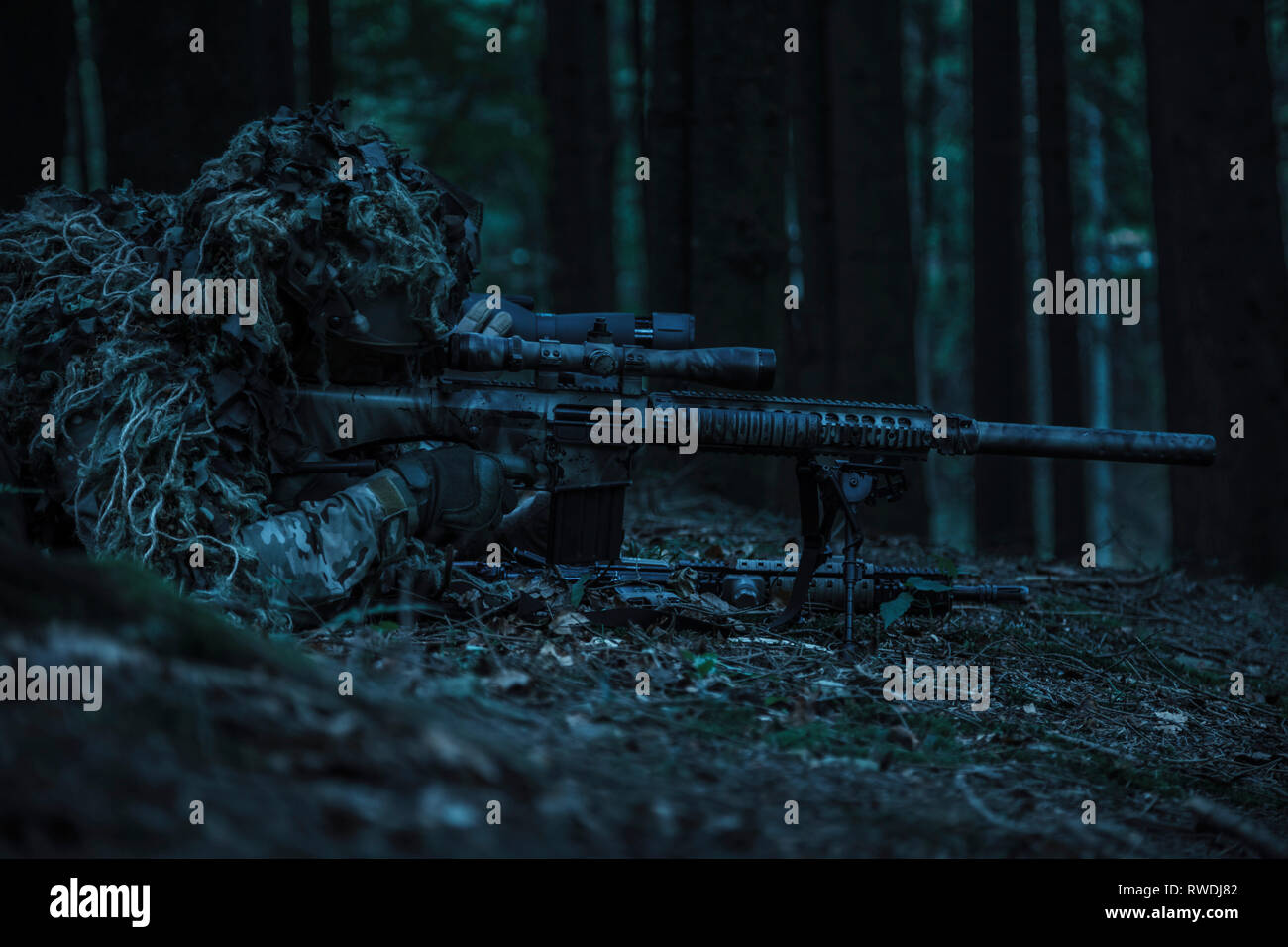 United States Army rangers sniper pair in the forest Stock Photo - Alamy