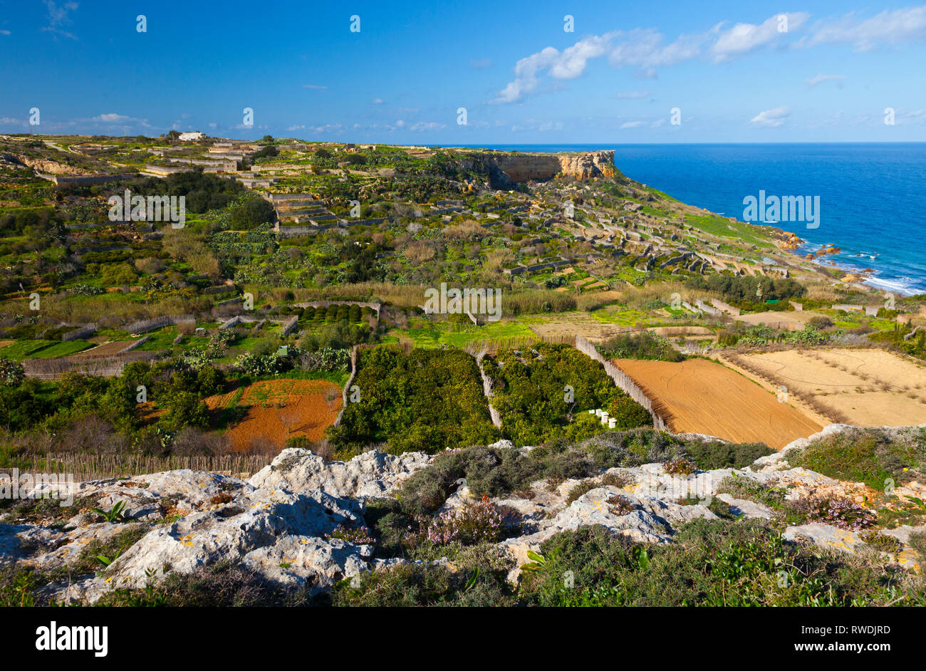 San Blas Valley, Gozo Island, Malta, Europe Stock Photo - Alamy