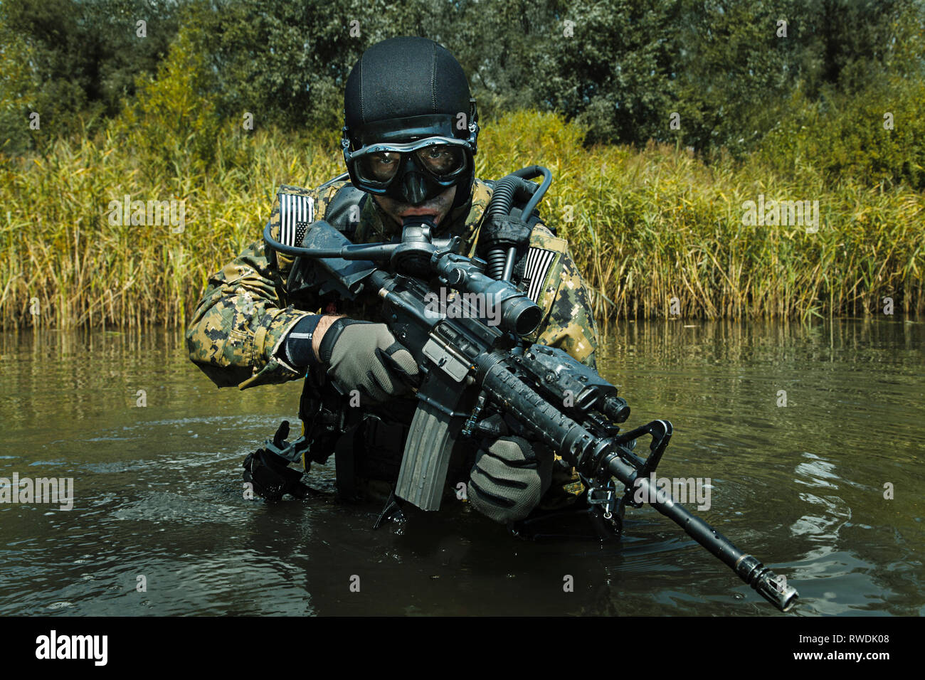 Frogman with complete diving gear and weapons in the water Stock Photo ...
