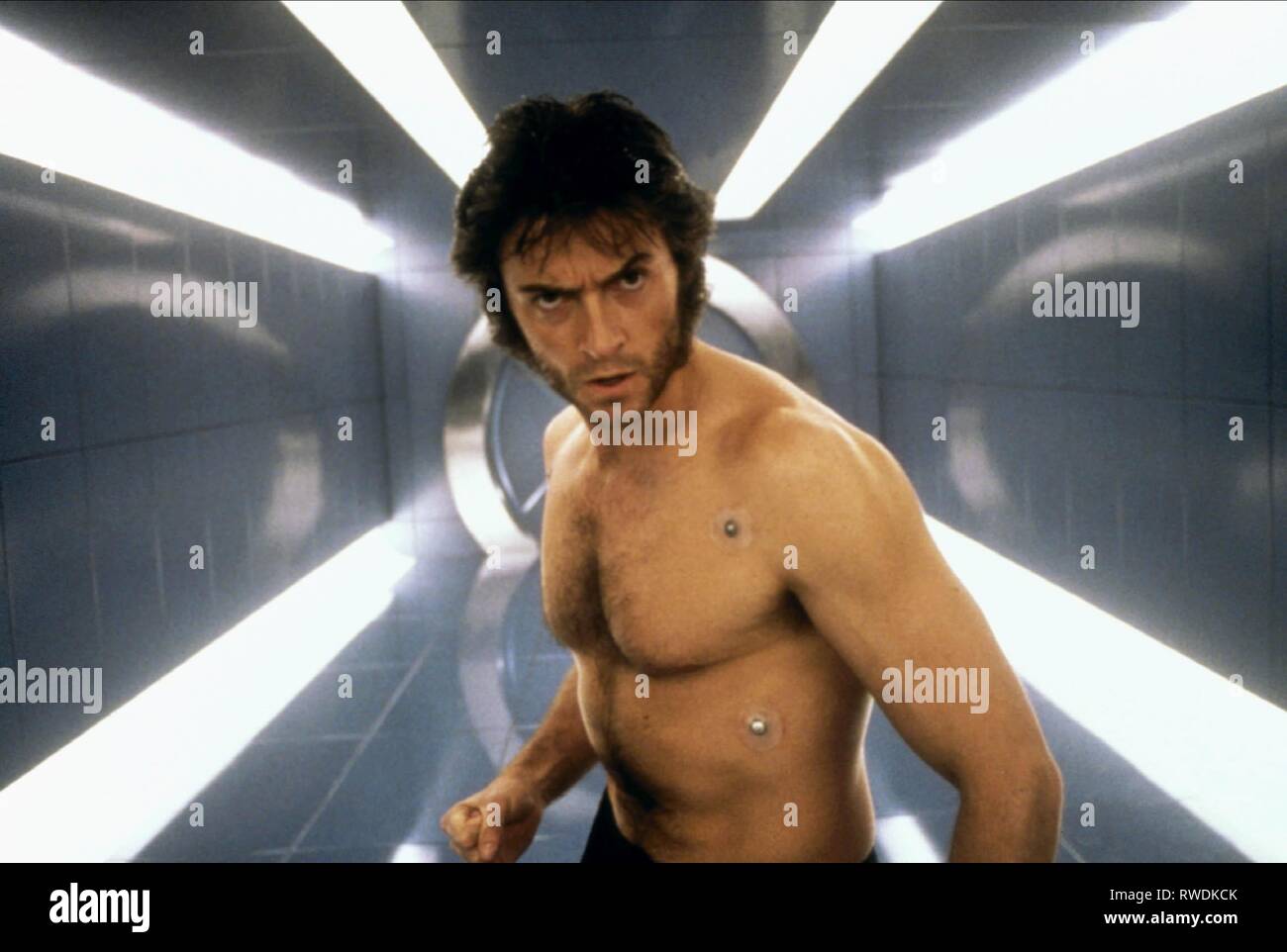 Logan The Wolverine High Resolution Stock Photography and Images - Alamy