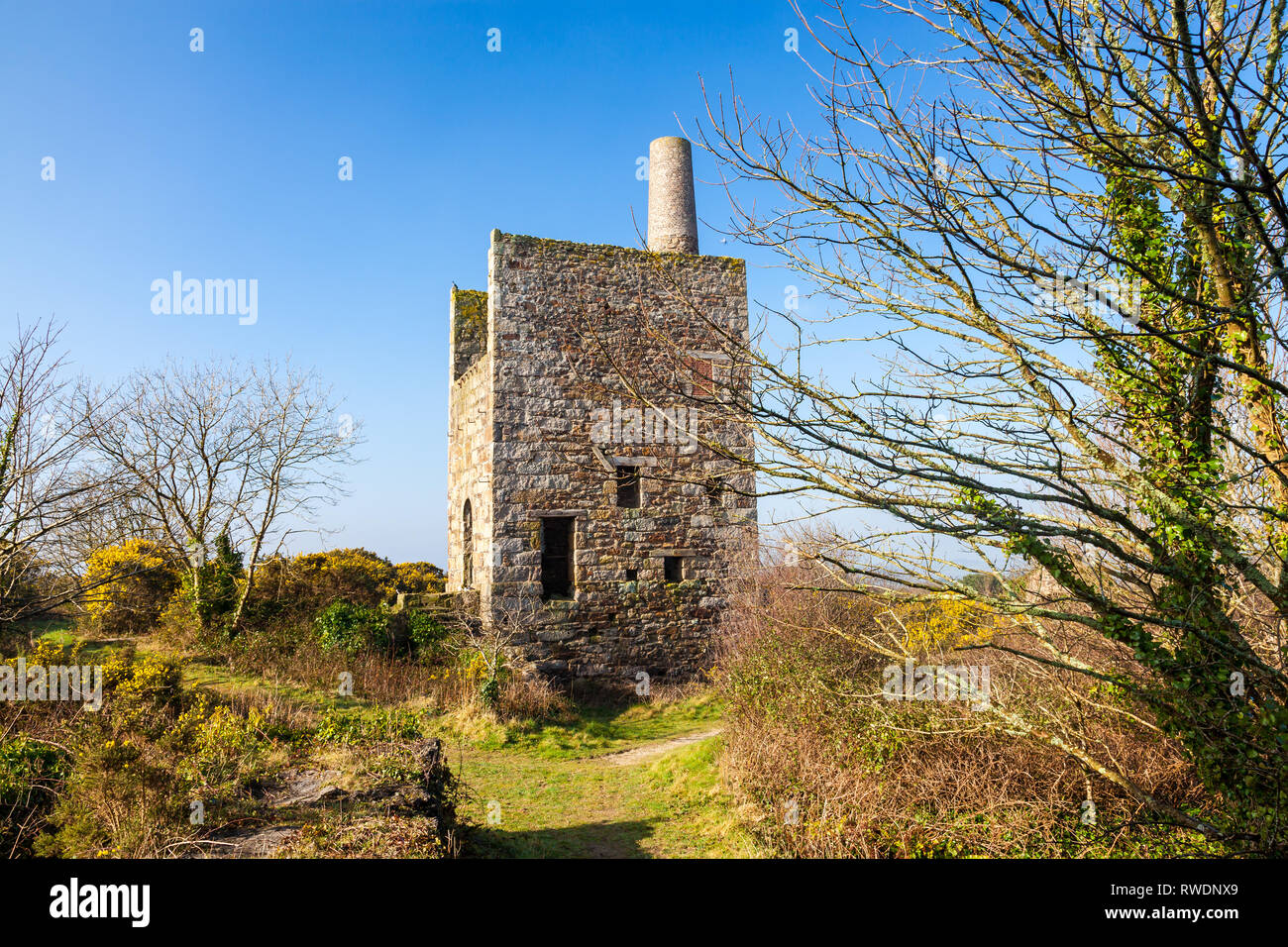 Ruins of former mine buildings at Wheal Peevor near Redruth Cornwall ...