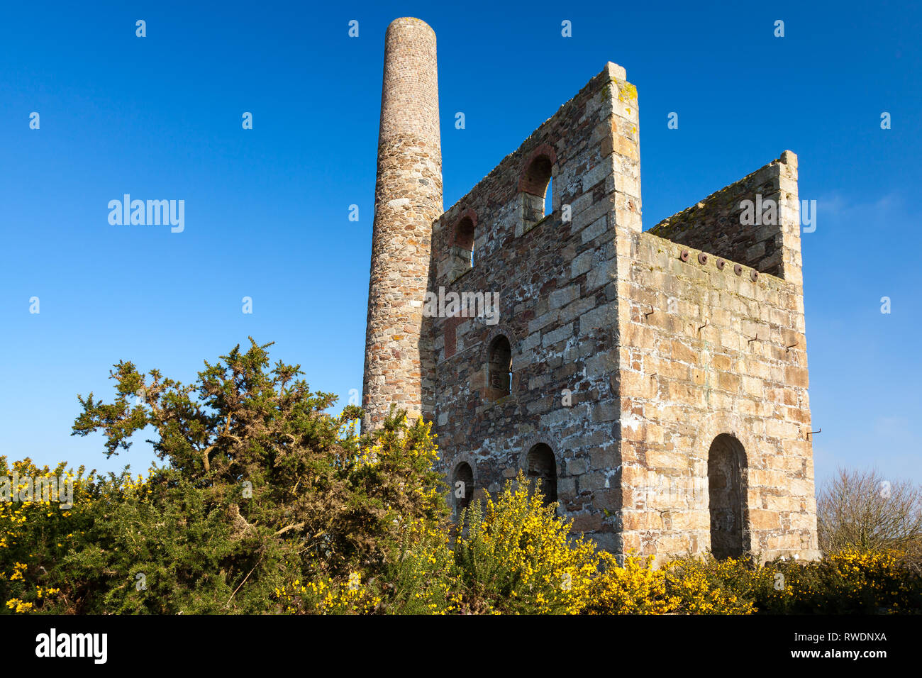 Ruins of former mine buildings at Wheal Peevor near Redruth Cornwall ...