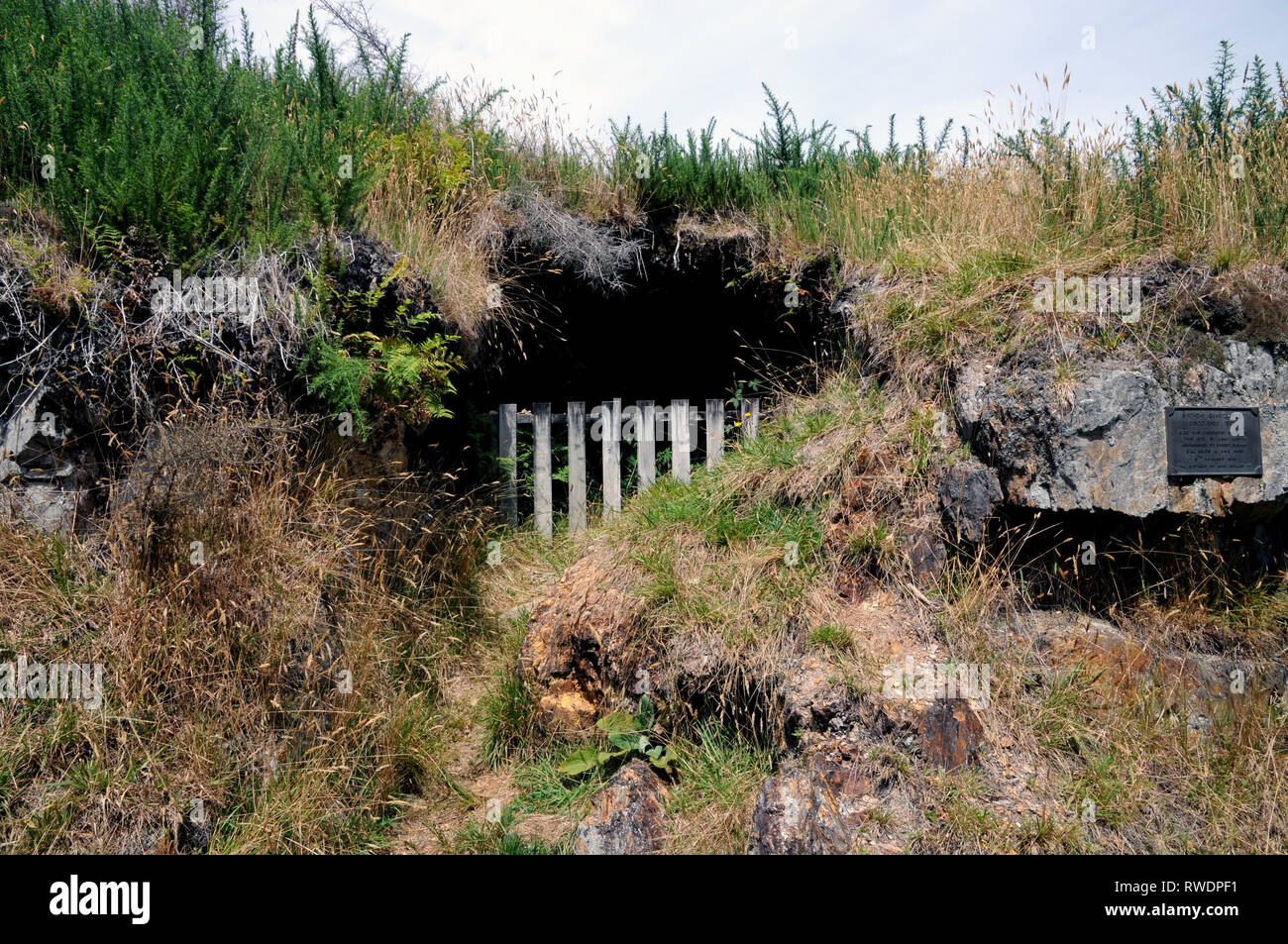 Gold development new zealand hi-res stock photography and images - Alamy