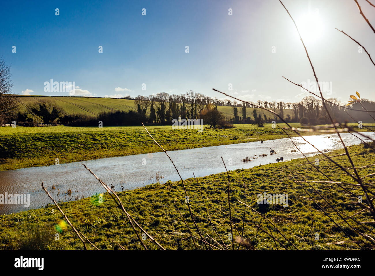 English countryside birds hi-res stock photography and images - Alamy